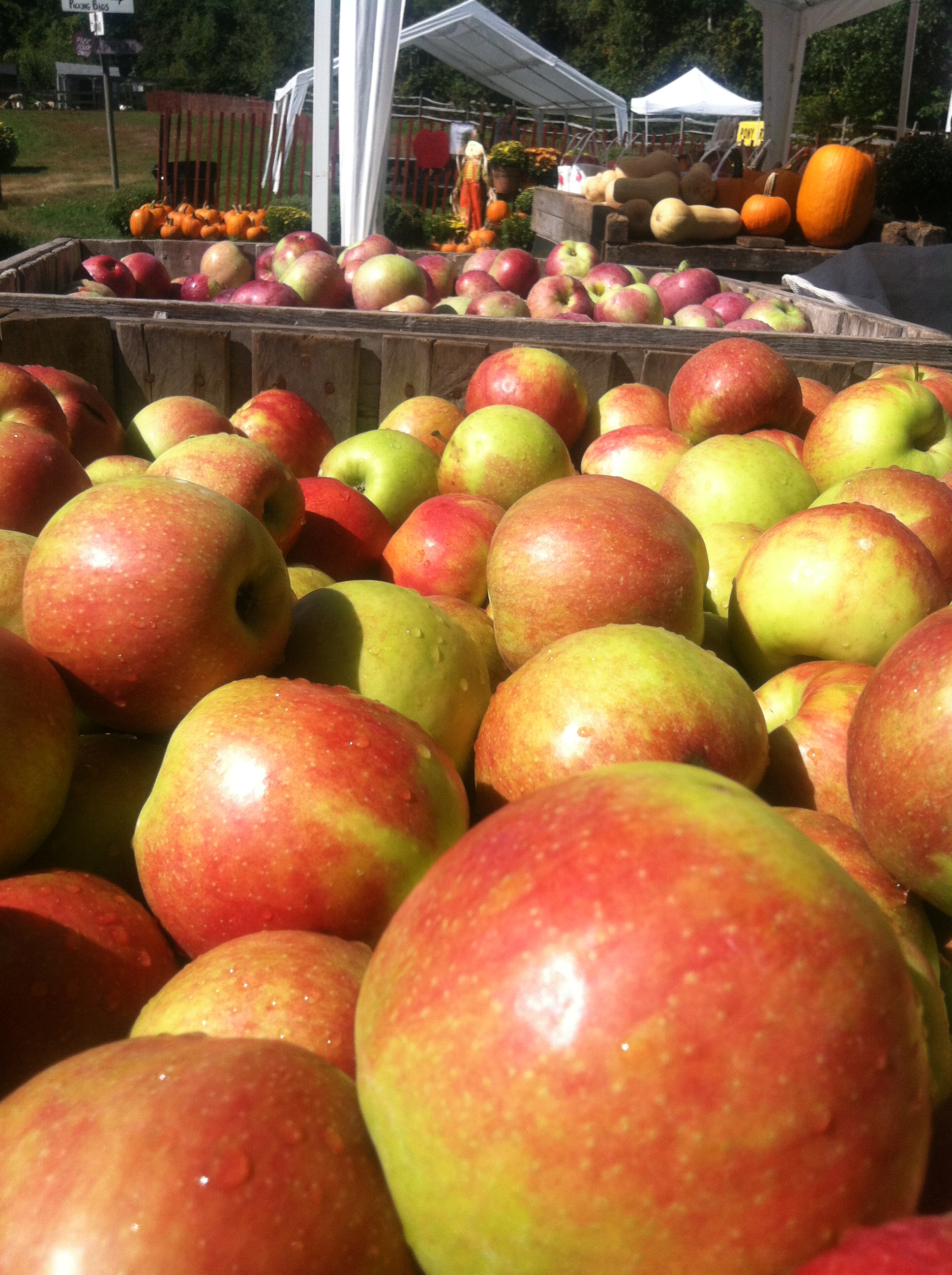 046 | Berlin Orchards